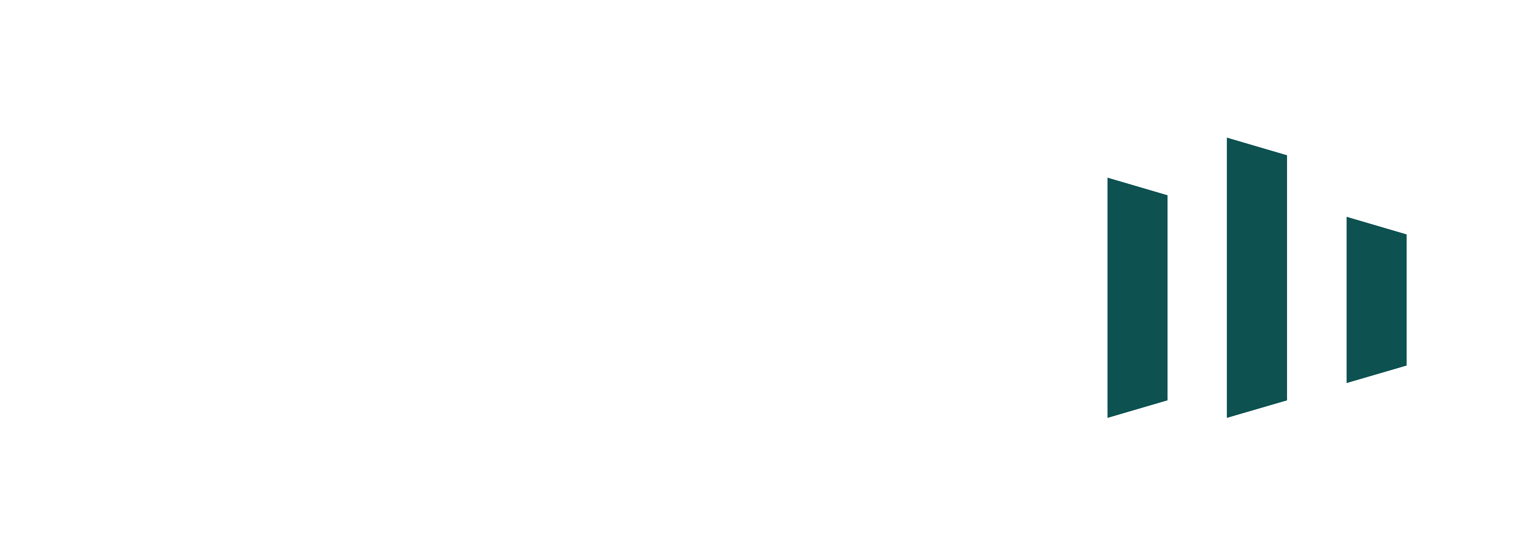 مشاريع السعودية